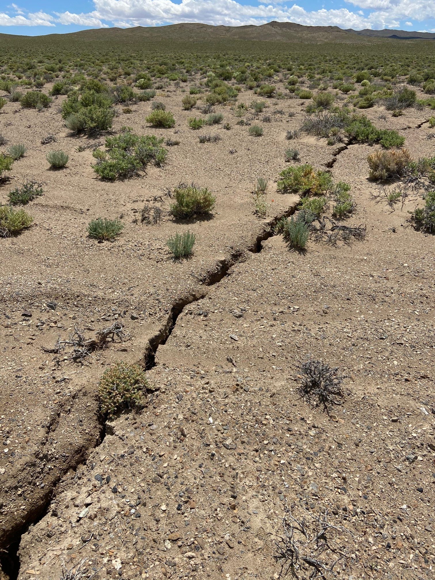 California Geological Survey Shares Expertise During Nevada's Largest ...